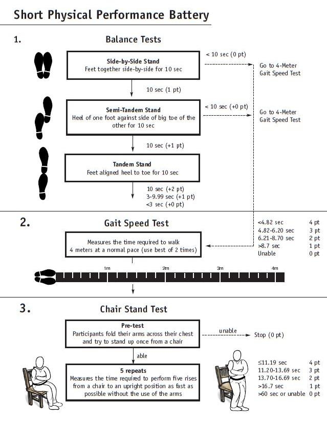 リハビリテーション科医のメモリーノート: 簡便な身体パフォーマンス評価尺度：SPPB