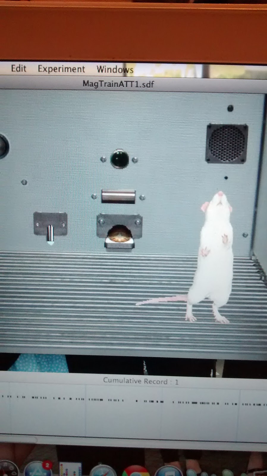 Jessica's Psychology of Learning blog: Training Sniffy