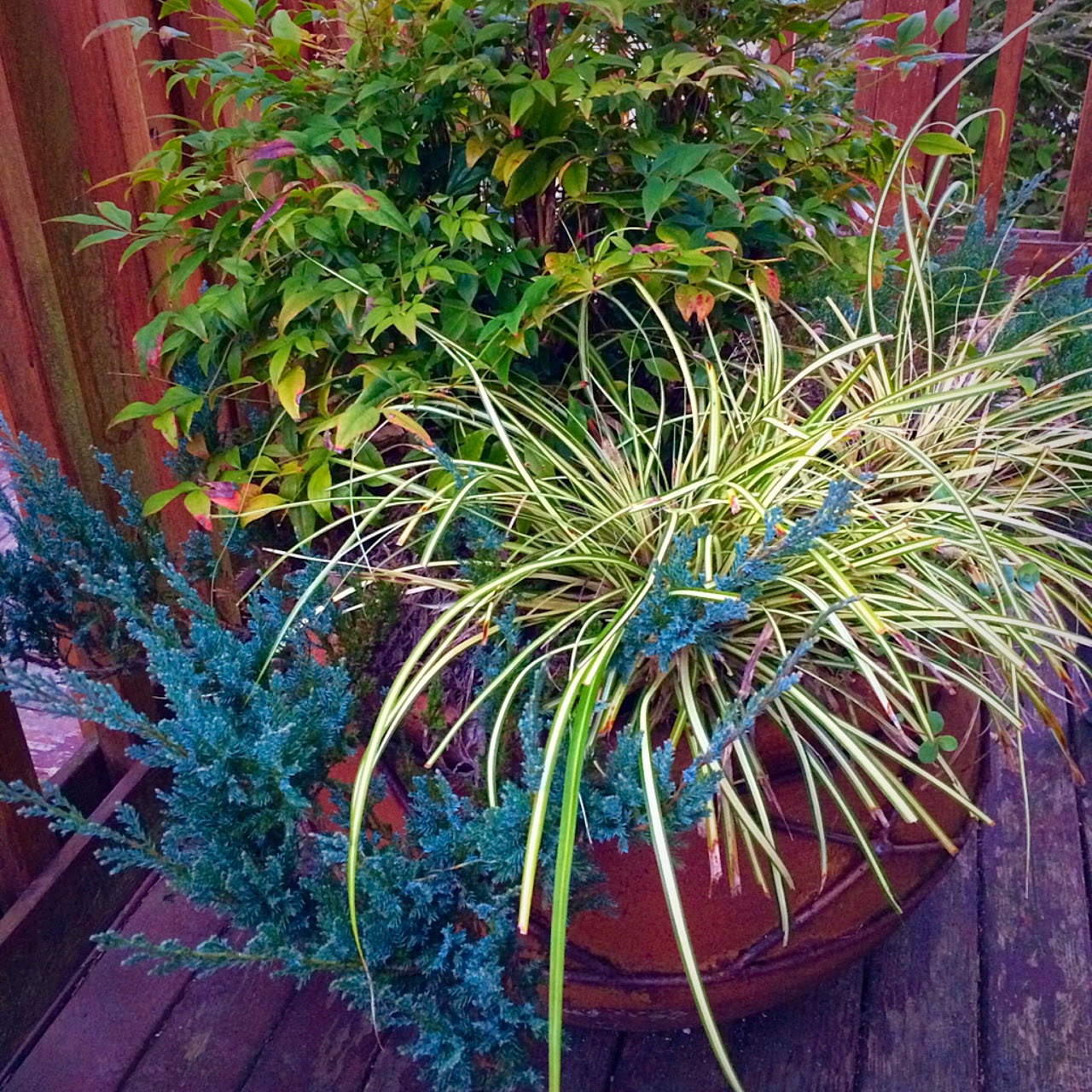 Straight Outta Compost: To The Junipers. To The Walls.