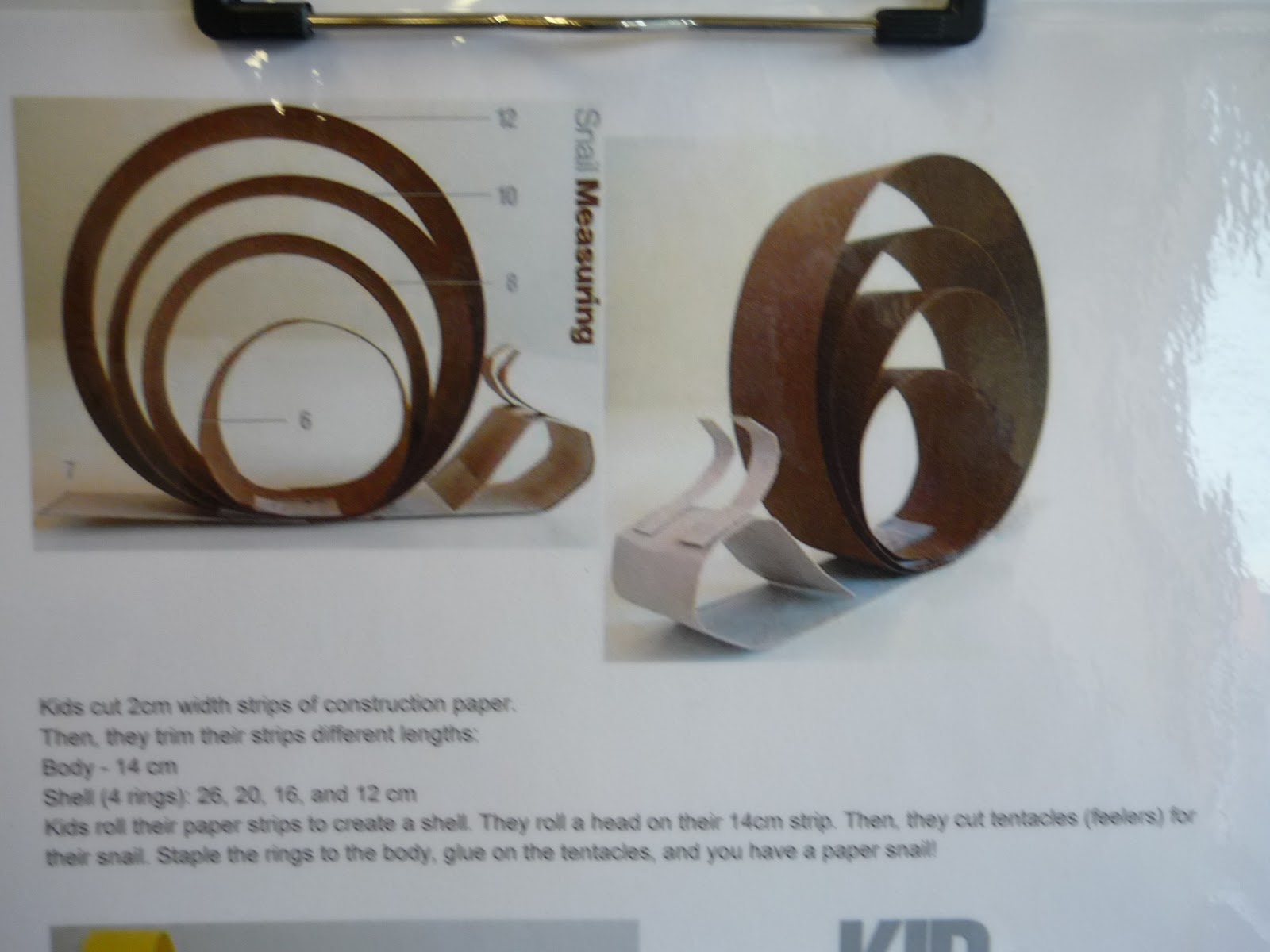 Welcome to Team Kereru: August 2013