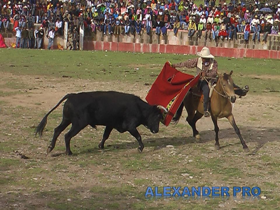 alexanderpro en velille, santo tomas, chumbivilcas: Edilberto Gutierrez ...