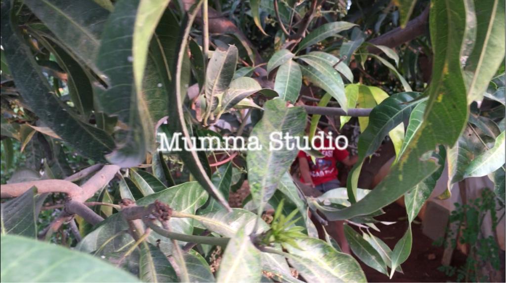 Festive Mango Toran/ Mango Toran / Maa Toran - Celebrating Festivals In ...