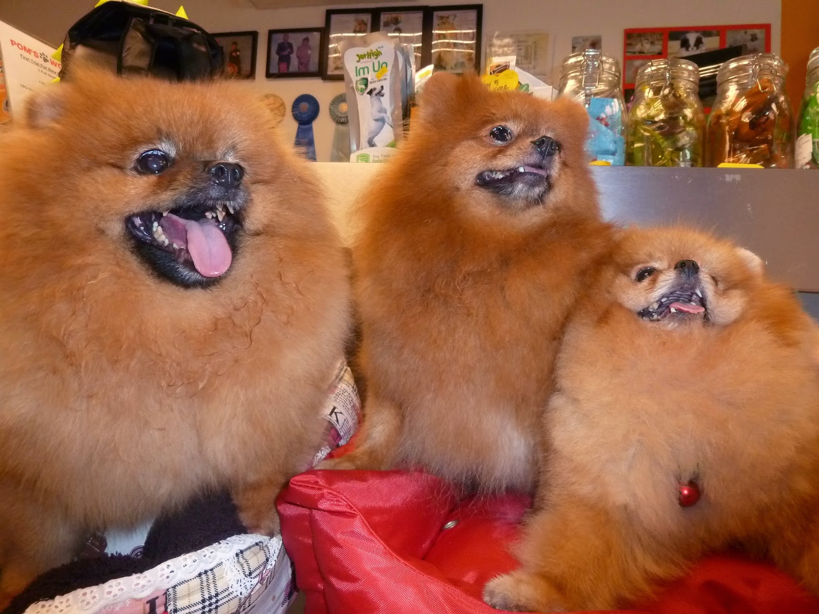 Kee Hua Chee Live!: POM'S WORLD AT JALAN KLANG LAMA SELLS BEST ...