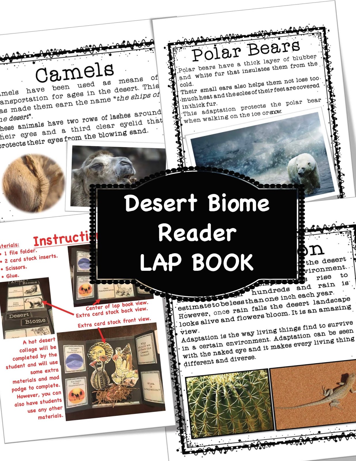 Introduction Of Desert Biome Teaching Resources - Bank2home.com
