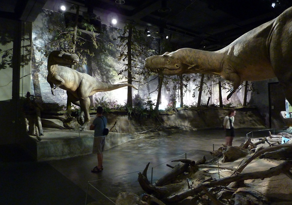 Another Side of this Life: CR2011: The Dinosaur Trail and Royal Tyrrell ...
