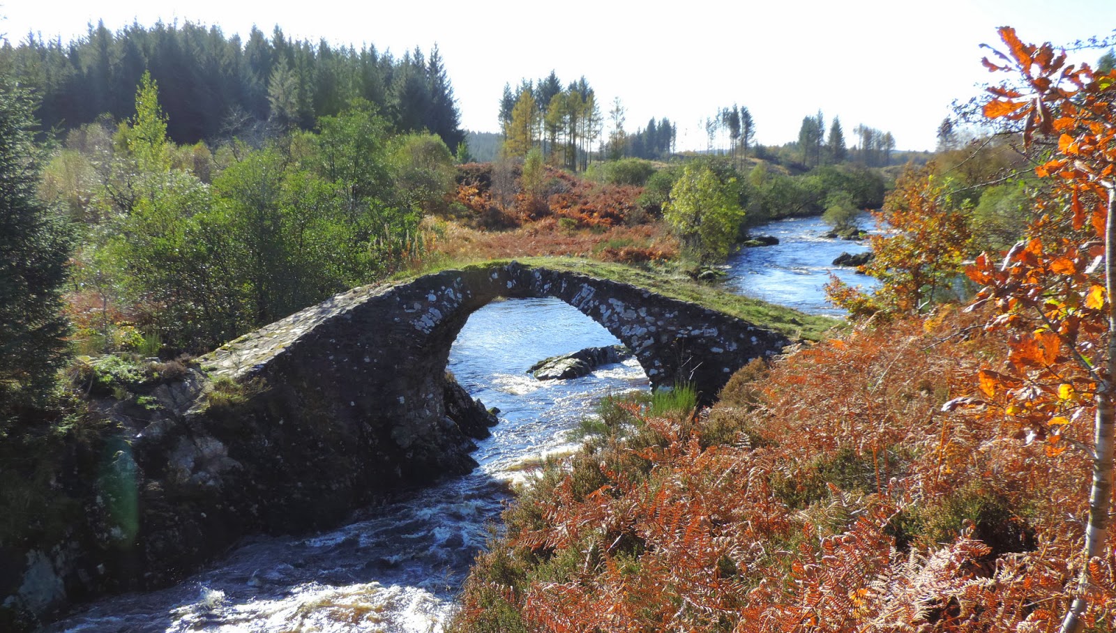 The Glebe Blog: The Water of Minnoch - Roman Brig