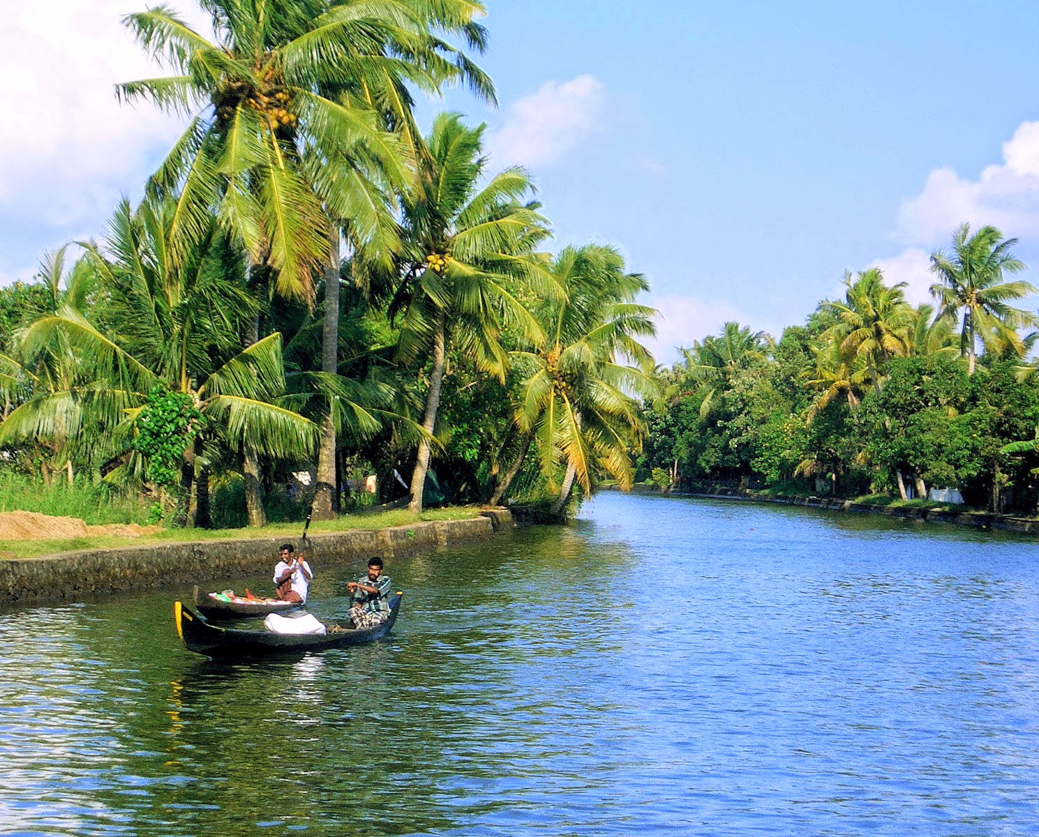 onesite scientic: Landscape Kerala