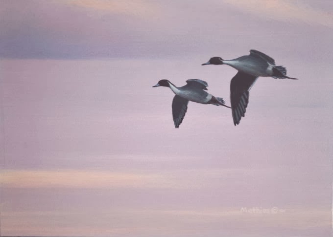 The Art of Peter Mathios: Evening Pair - Pintails