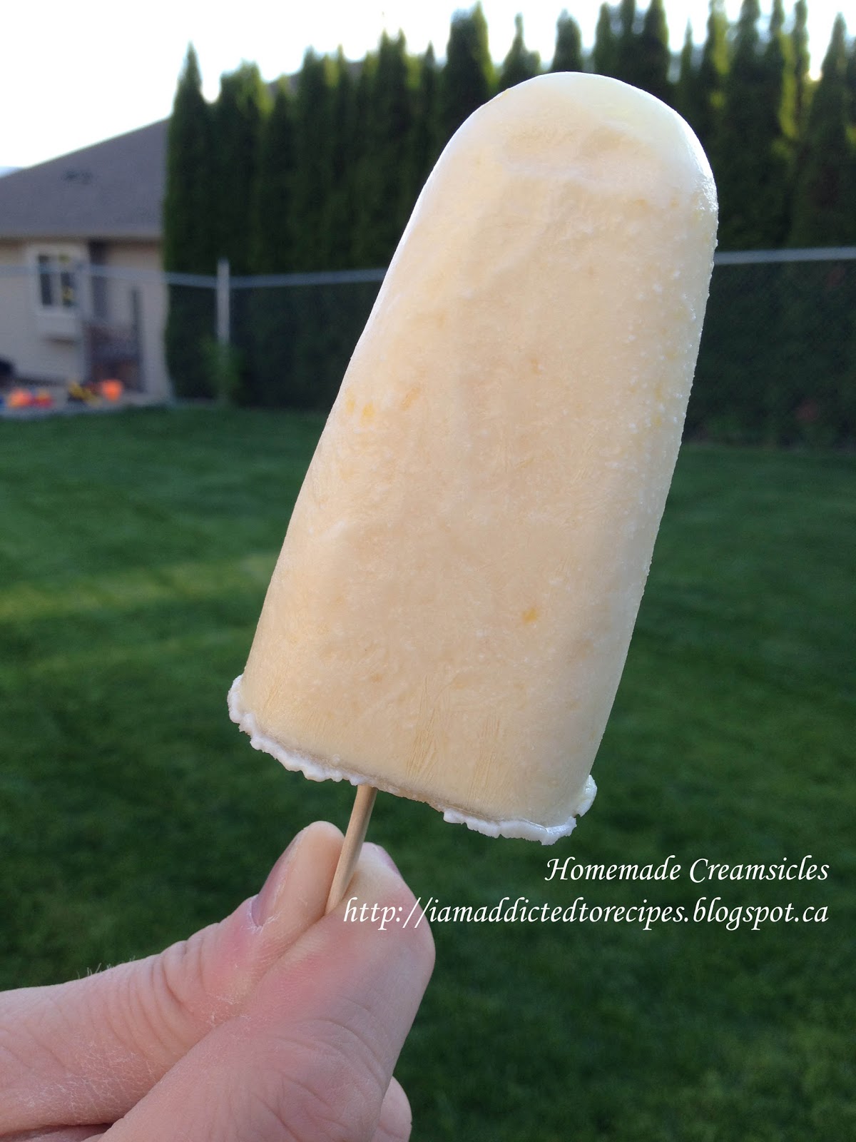 Addicted to Recipes: Creamsicles