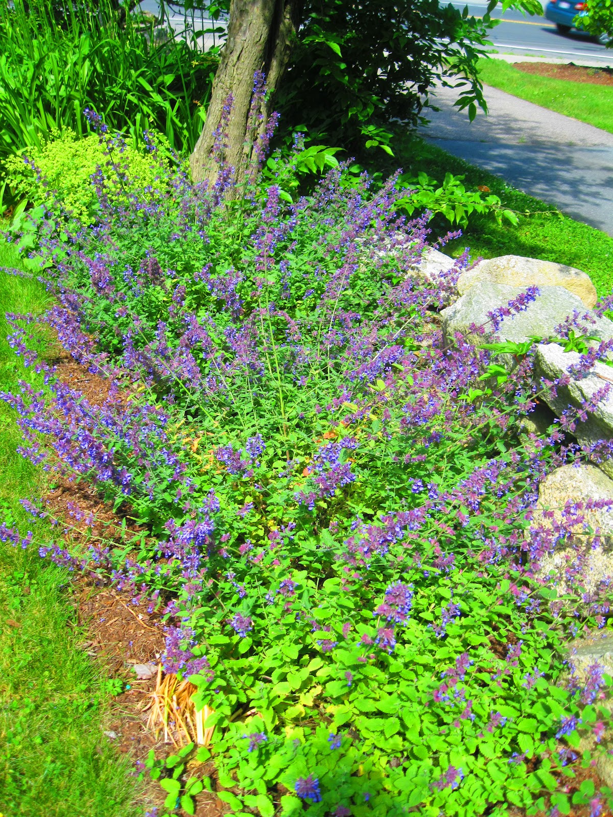 West in New England: VISITING THE HARLOW OLD FORT HOUSE