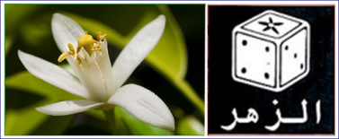 Comprendre l'Islam: Des miracles numériques dans le Coran ? Oui mais ...