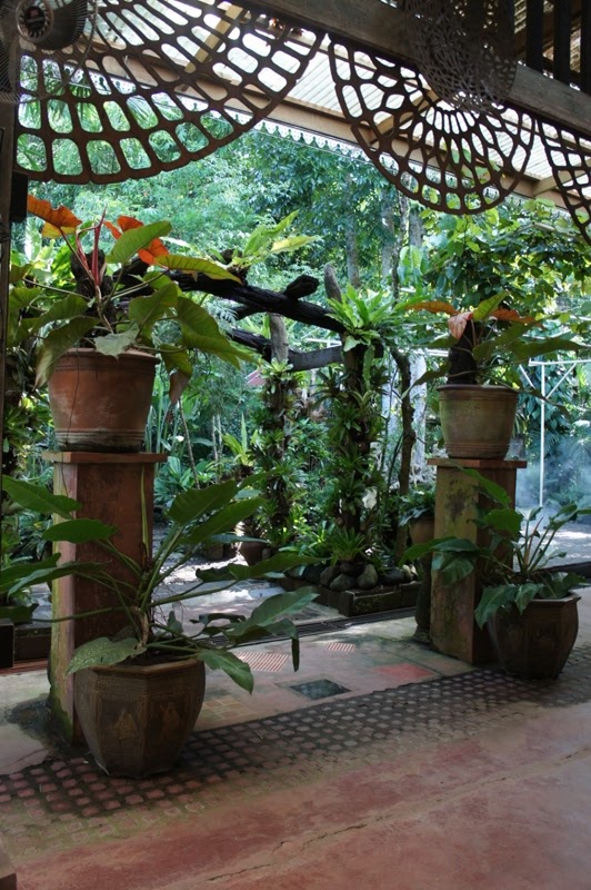 OUR PHILIPPINE TREES: Bocaue is a Bamboo