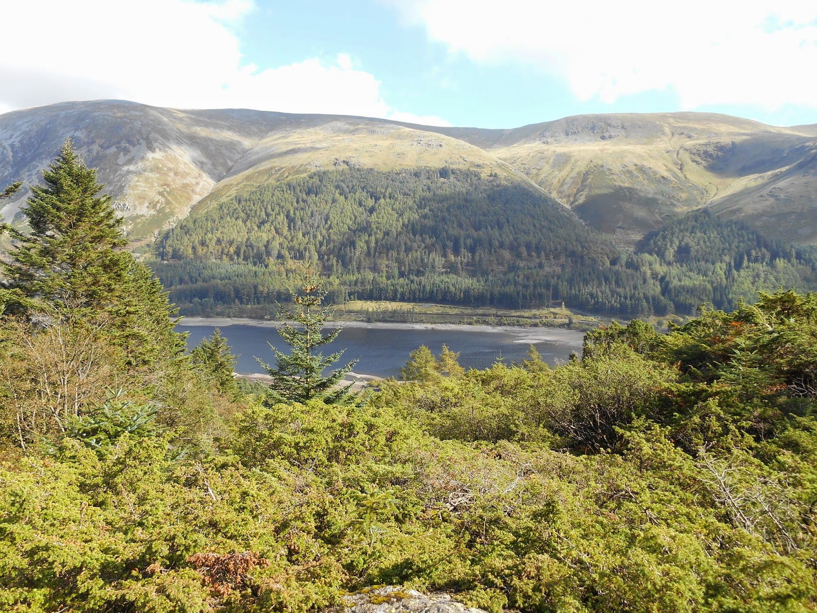 Nature Notes and Observations: Harrop Tarn and Thirlmere