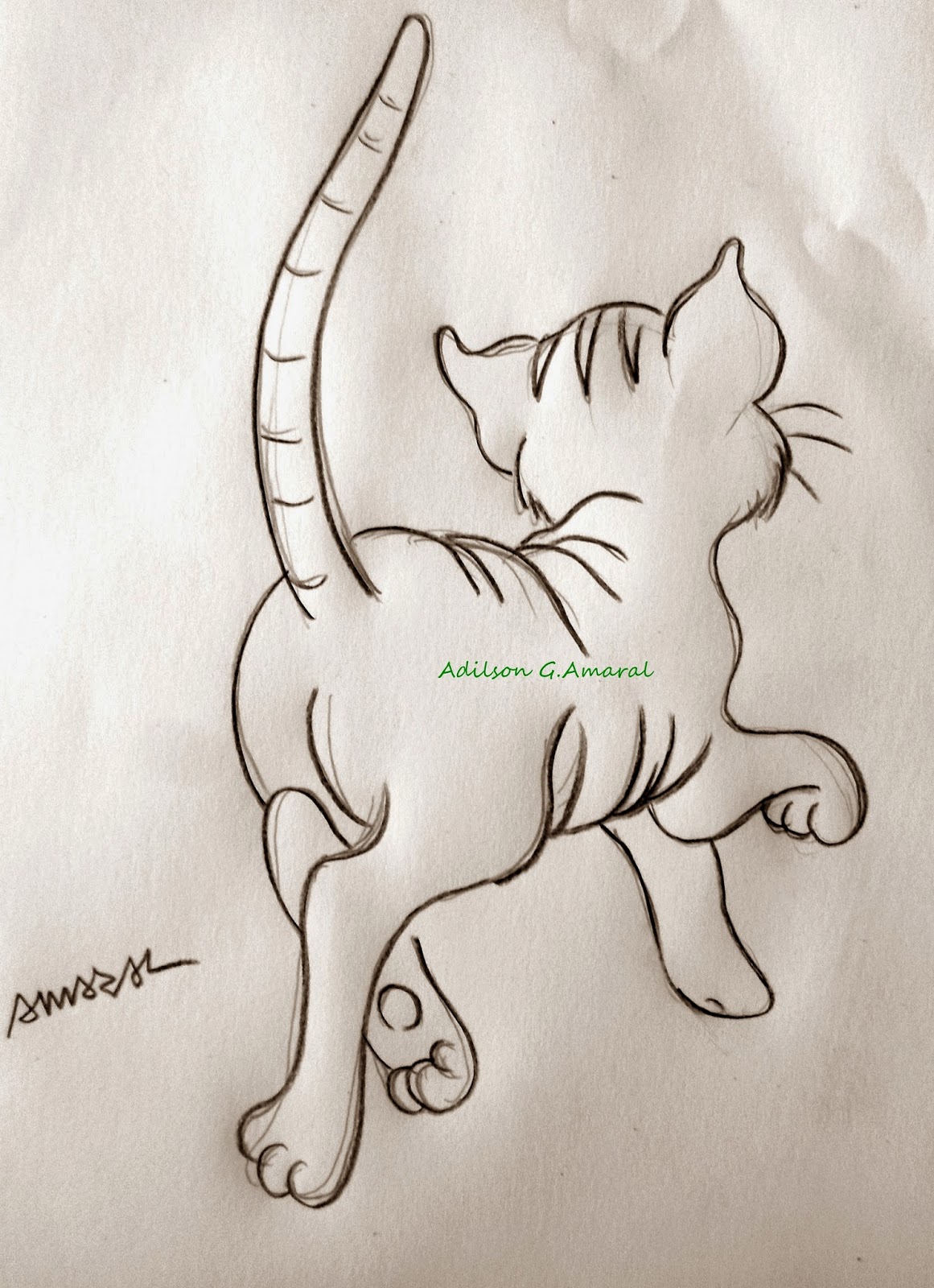 Arte * Vida: Riscos Gatos