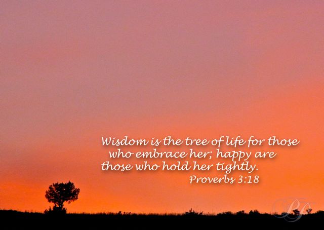 Eric Valentine's Praise Photography Blog: All is being purified