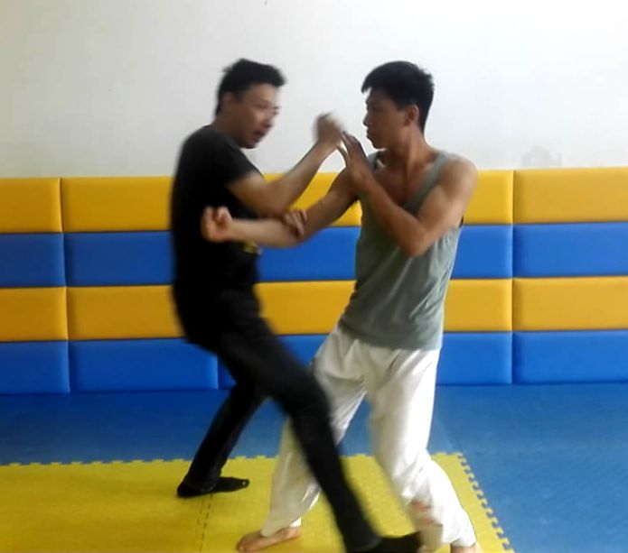 WingChun technique-3 Pak Da(reasonable?)