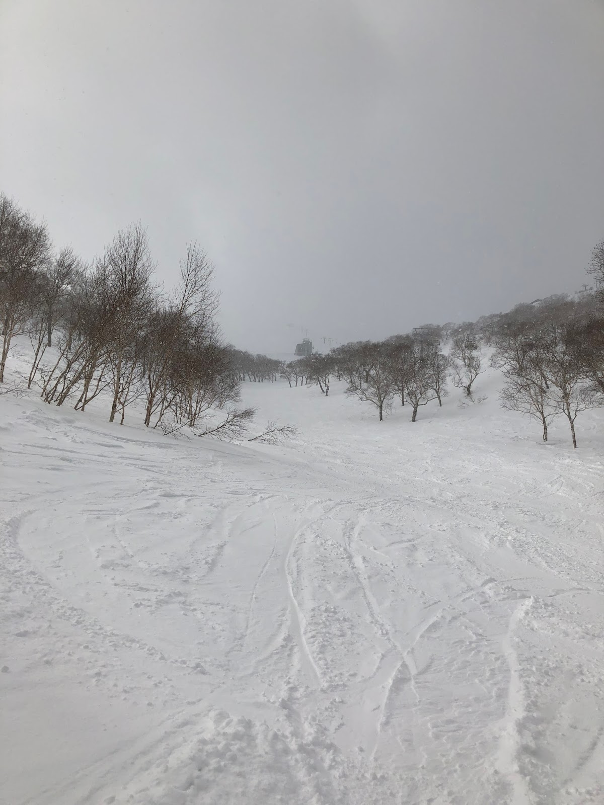 Niseko | The Ultimate Guide for Your First Time Skiing | Ariel Land