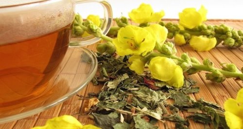 Mullein Leaf Tea Recipe - Mullein Health Benefits