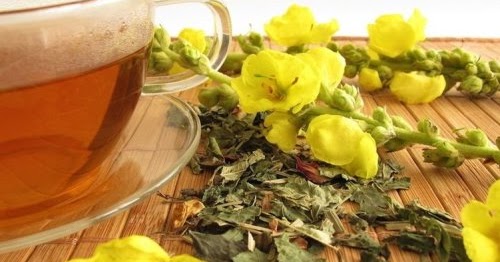 Mullein Leaf Tea Recipe - Mullein Health Benefits