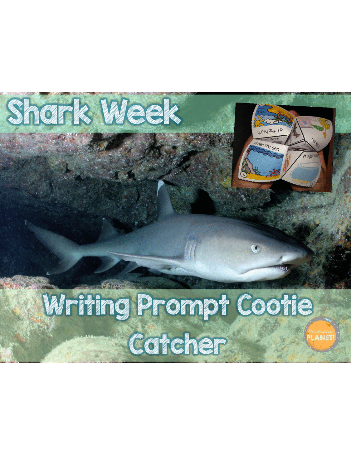 Shark Week Hop with a freebie! - Primary Planet