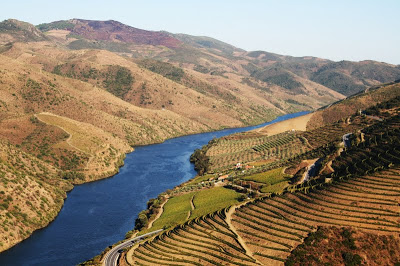 Anabela Magalhães: A Nascente Seca do Rio Douro
