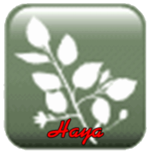 El Haya - Horoscopo Celta - Clave - - Las Revelaciones del Tarot