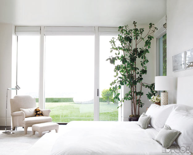 duchess fare: Dynamic Duo