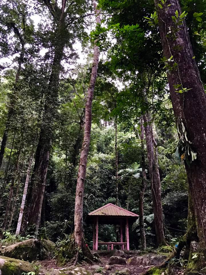 Extreme Benum Dayhike (via Lata Berembun) in 24 Hours | Catchingtravels