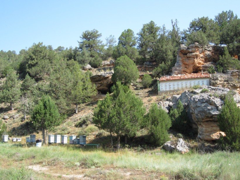 Mis experiencias mis imágenes: Colmenas: algunos tipos de colmenas.