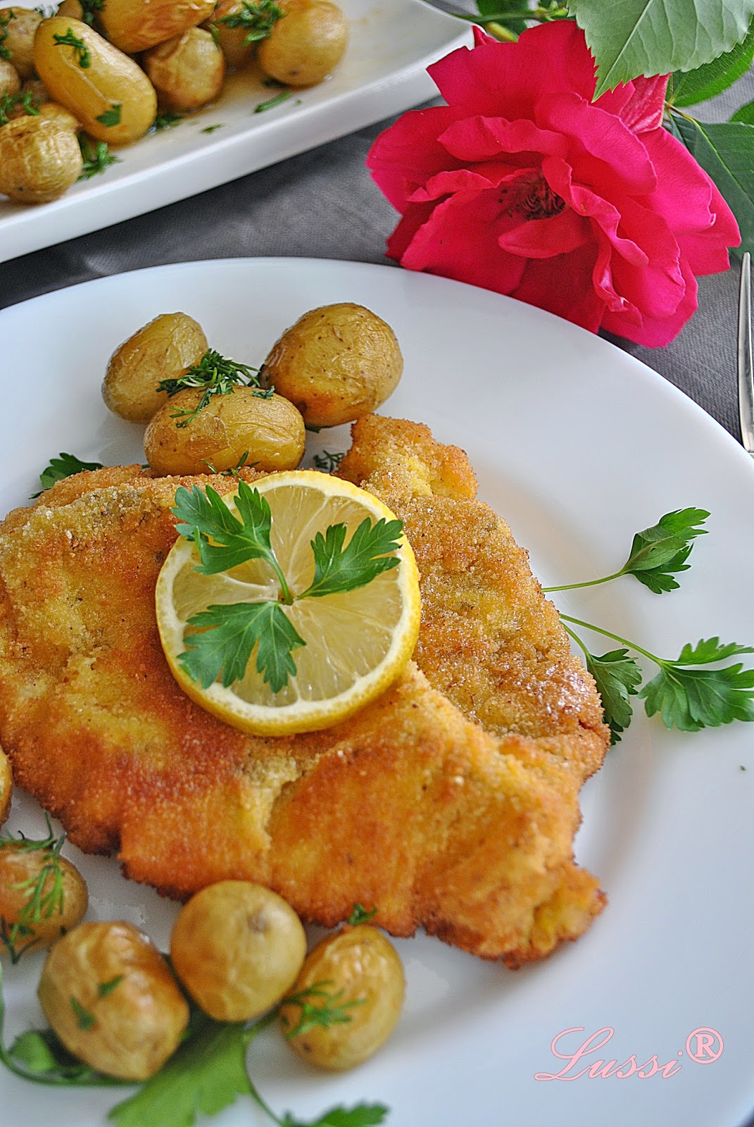 Lussi`s World of Artcraft: Традиционен немски шницел / Traditional ...