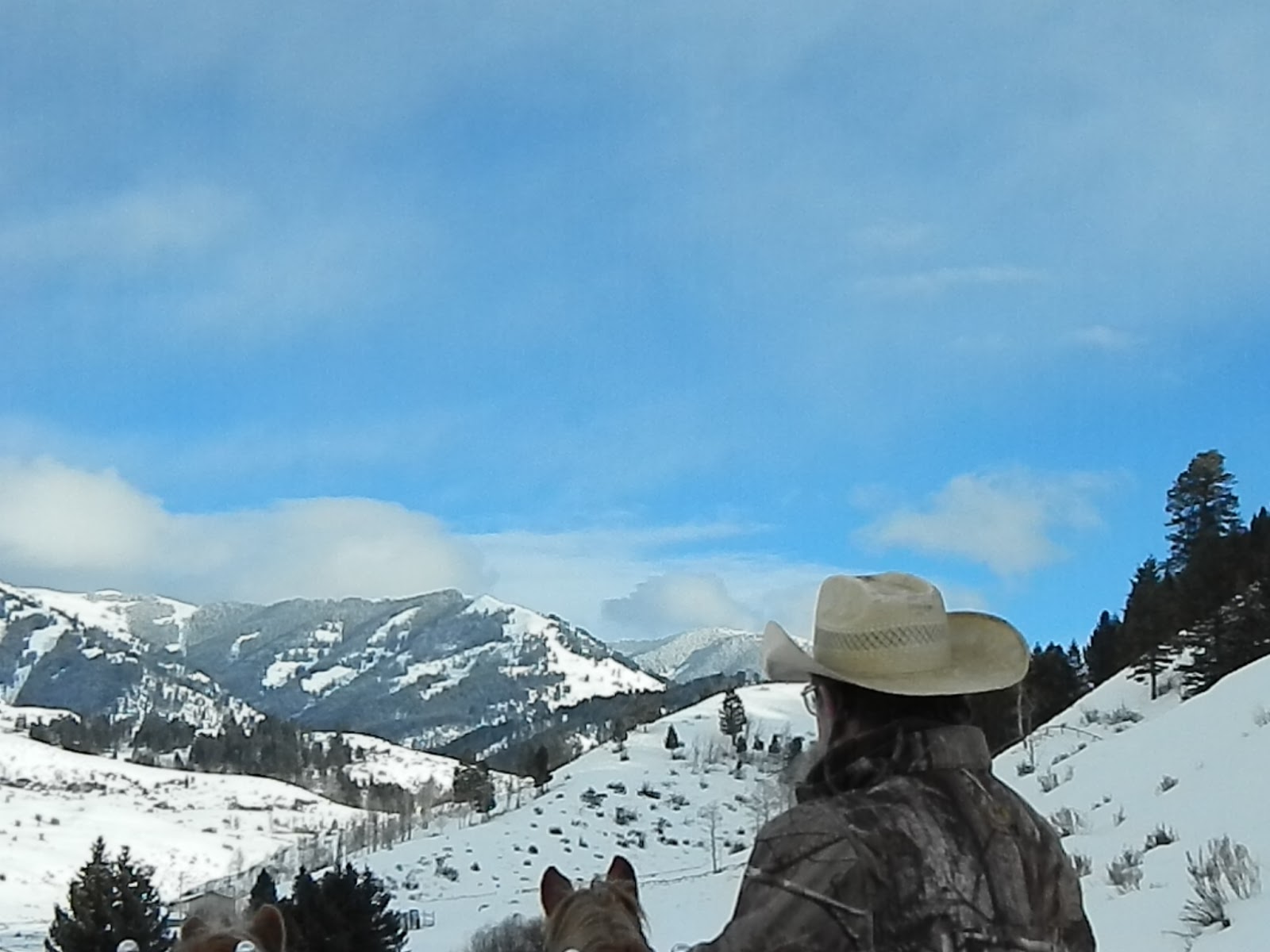 Polka-Dotty Place: Mill Iron Ranch Wyoming