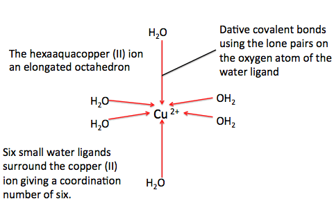 savvy-chemist: Transition Metals: Complex Ions