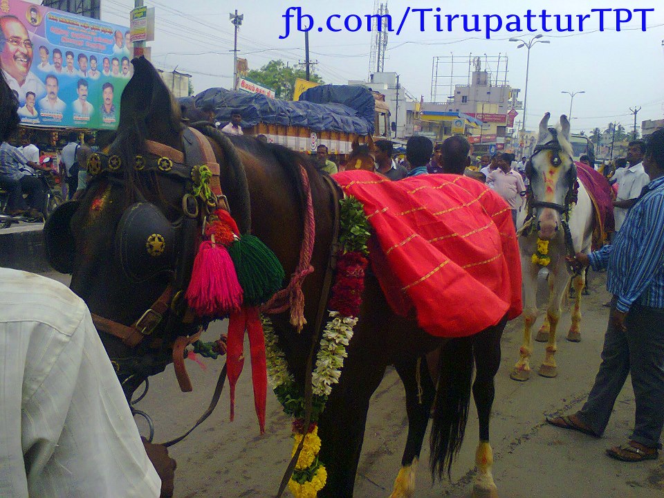 TIRUPATTUR: Tirupattur Awesome images