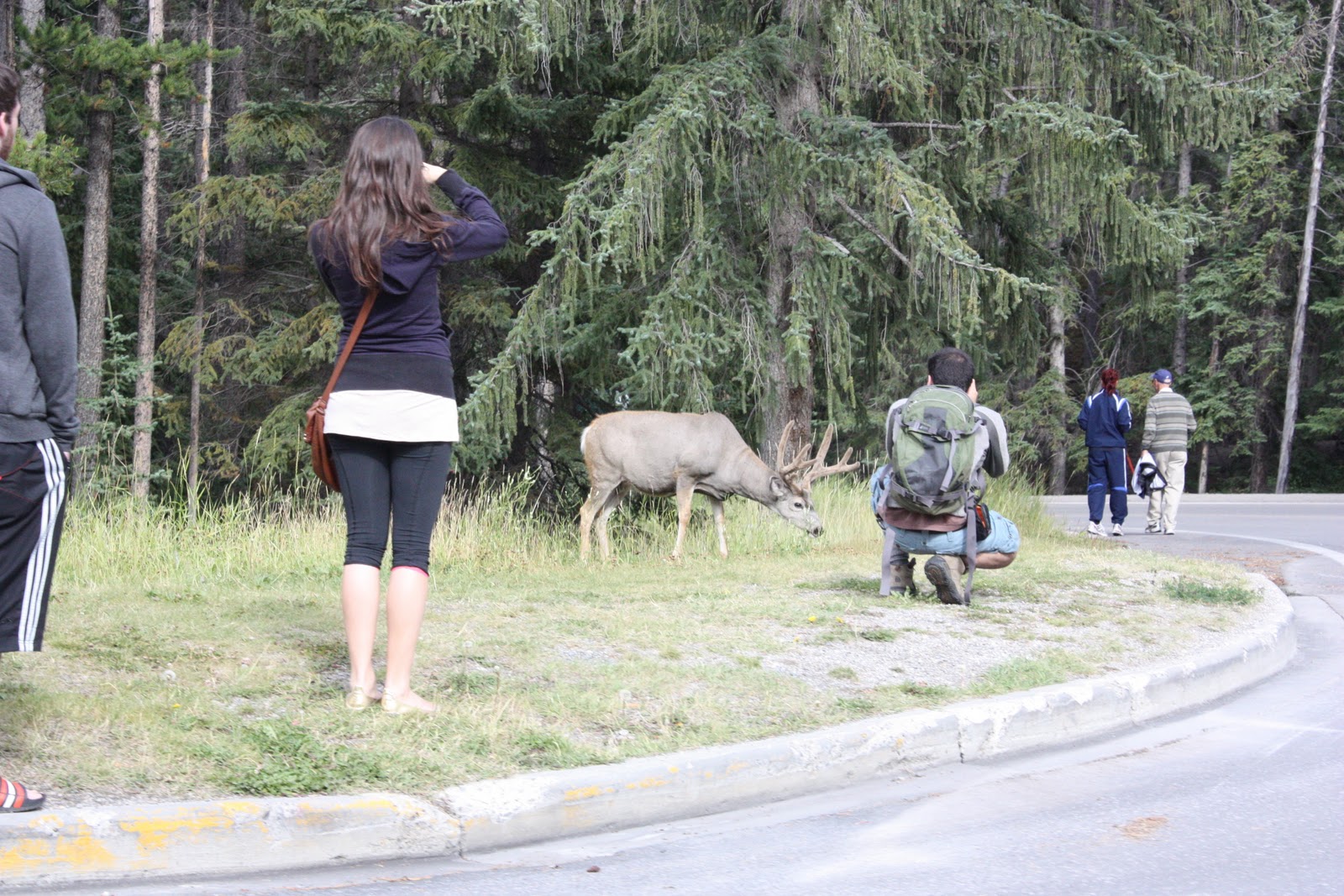 Mr. & Mrs. Phillips: One Year, Eternity to Go!
