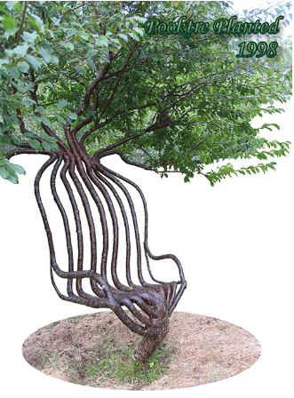The Phytophactor: Lawn chair tree