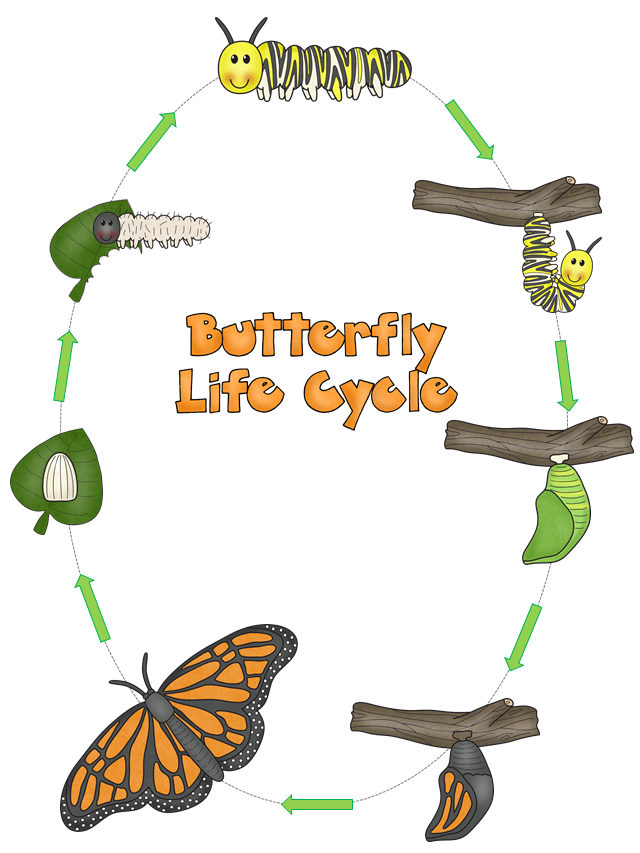 Colors and Kindergarten: My Science Journal: Bugs
