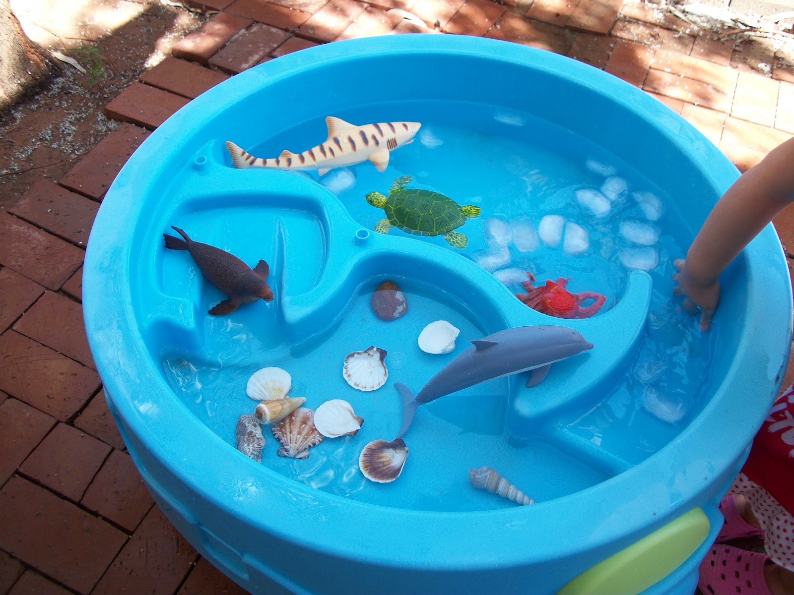 Building Rainbows: Sea life Water Table