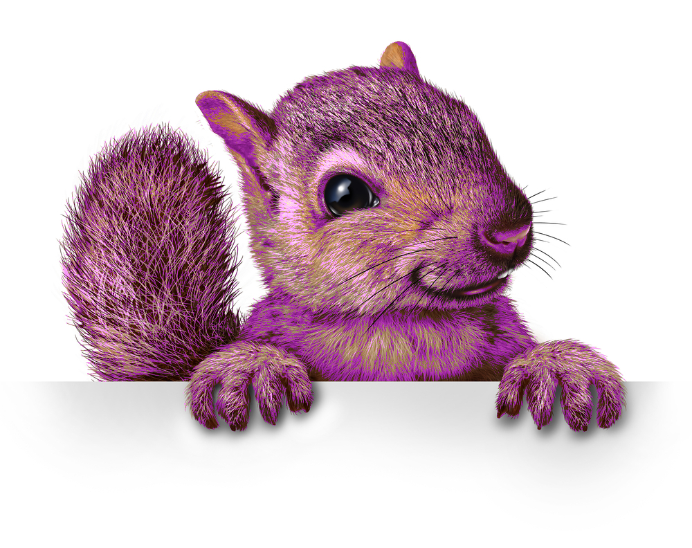 Ingenium Search Blog: Hunting for the purple squirrel: how to avoid ...