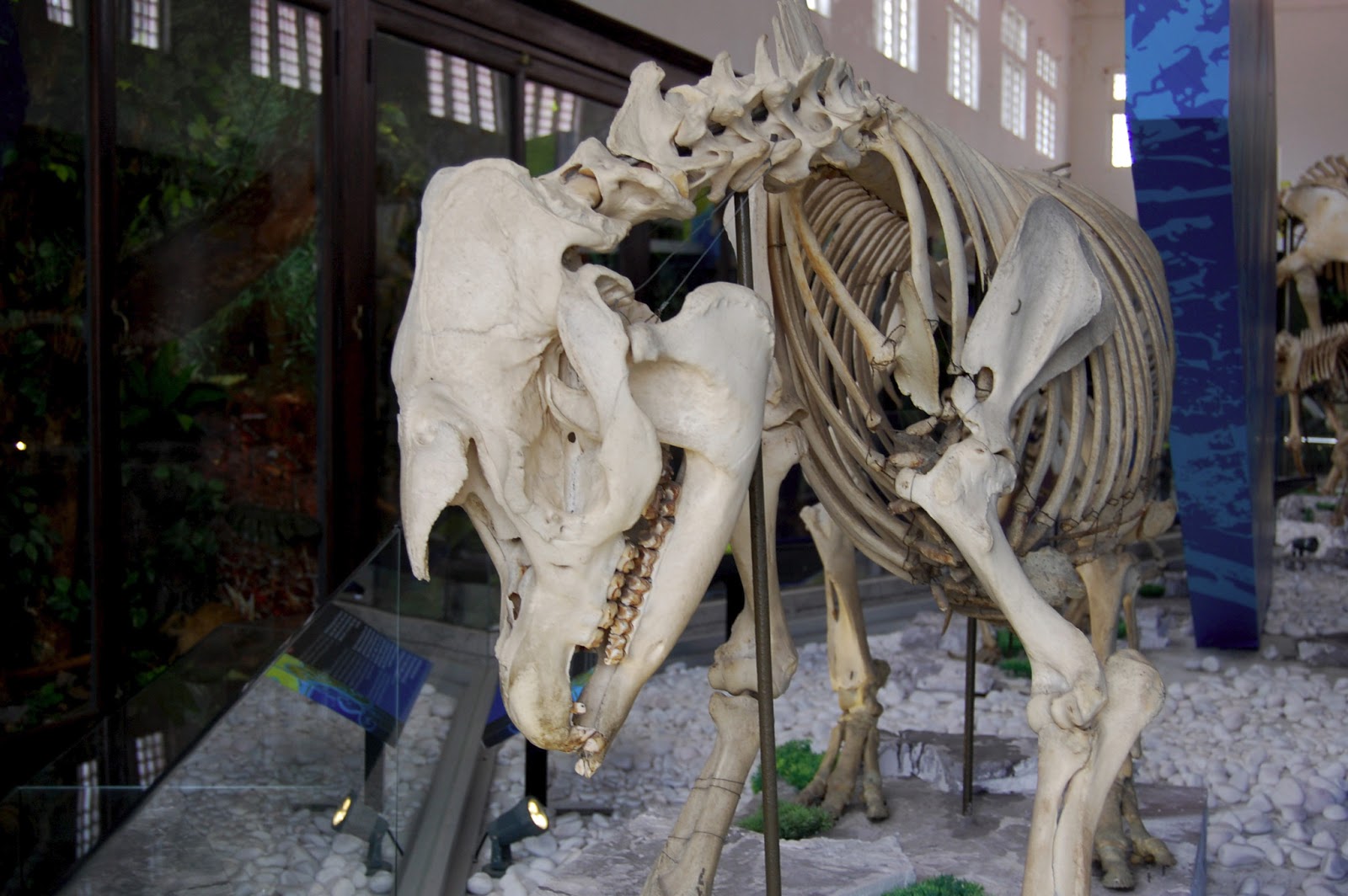 Taiping Photo Gallery: Perak Museum Taiping