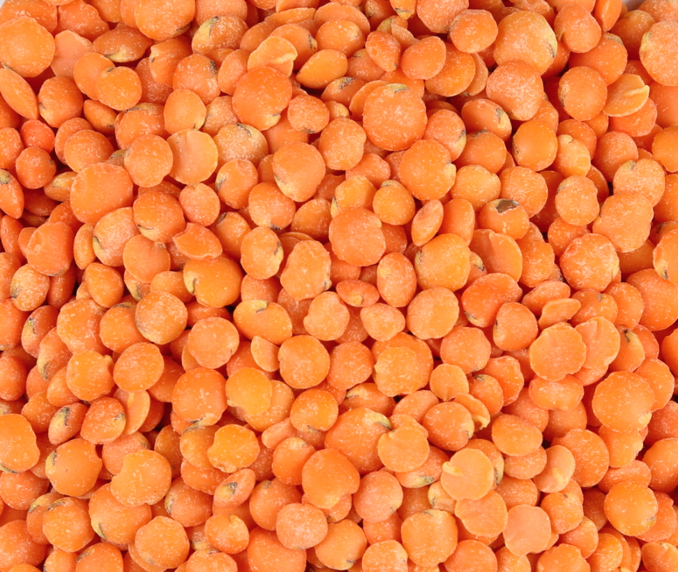 Lentil | ROY'S BLOG
