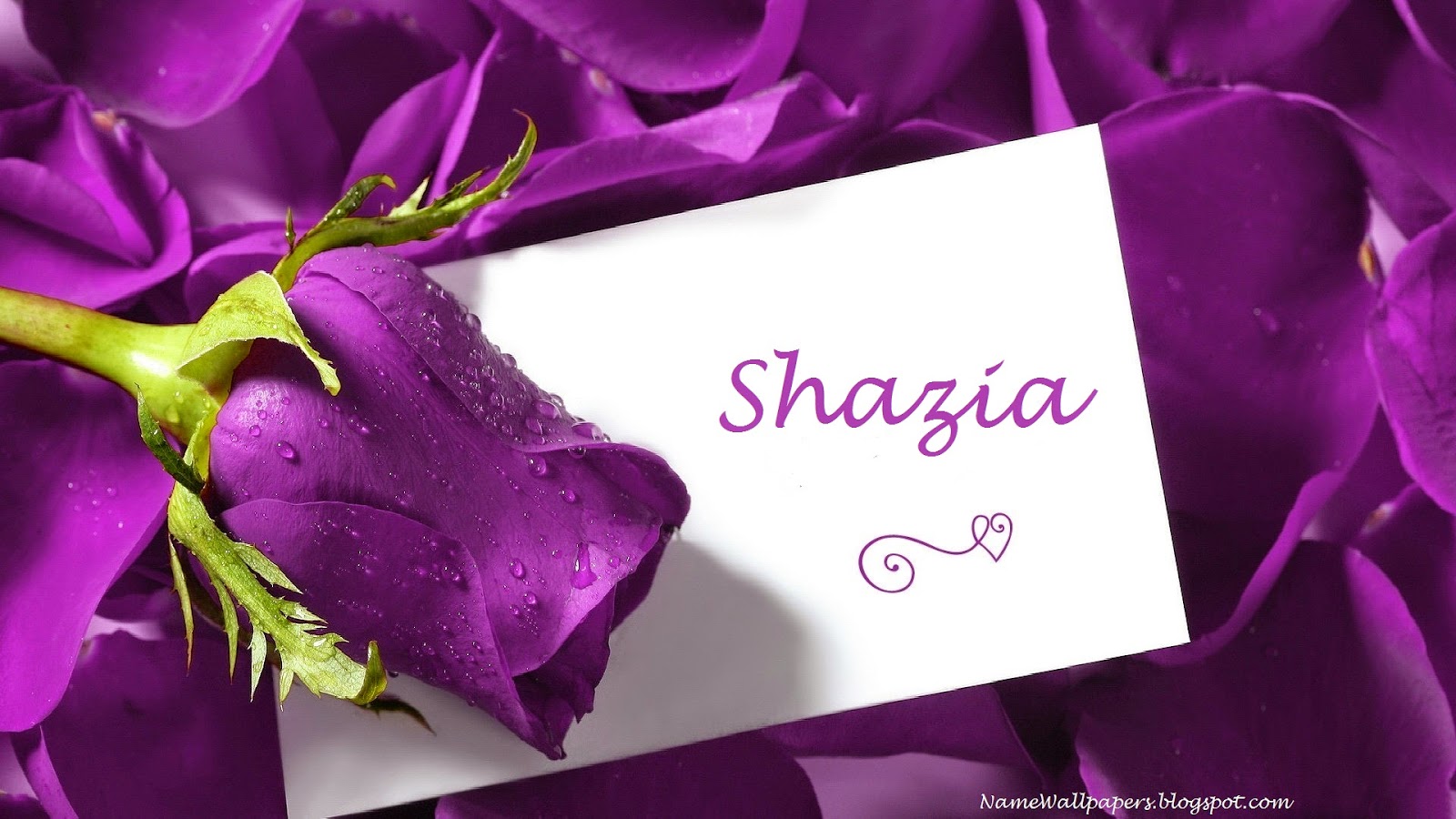 Shazia Name Wallpapers Shazia ~ Name Wallpaper Urdu Name Meaning Name ...