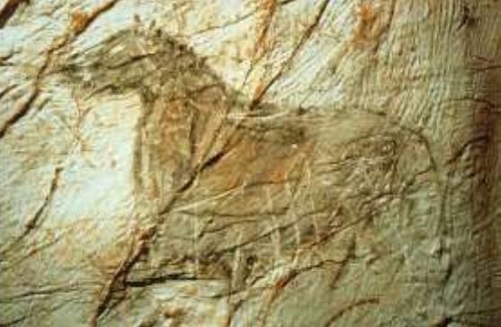 alvor-silves: Cosquer - caverna rupestre submersa