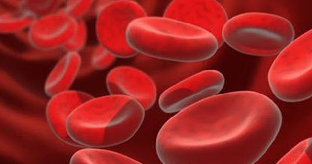 Fakta Tentang Darah Kita ~ HerbalNewsPedia