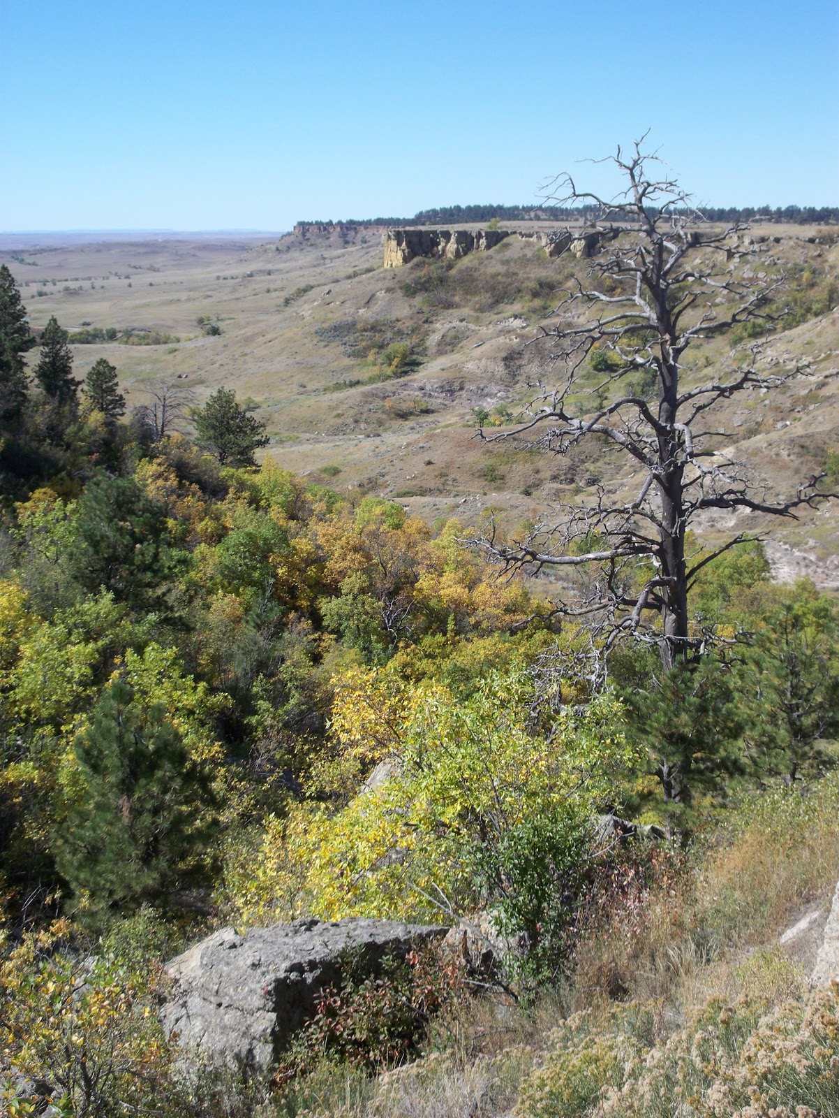 The Continuing Adventures of Eric, Noelle and Sierra: Custer National ...