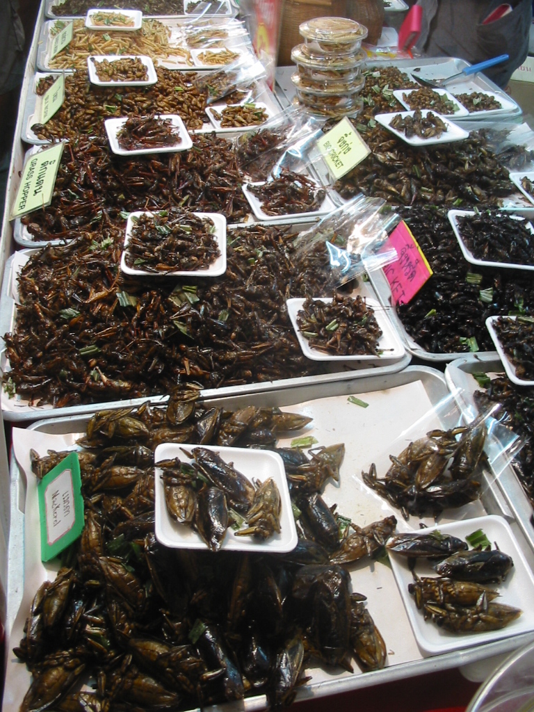 Delicious Thai Dinners Cooked in a Western Kitchen: Delicacies and ...