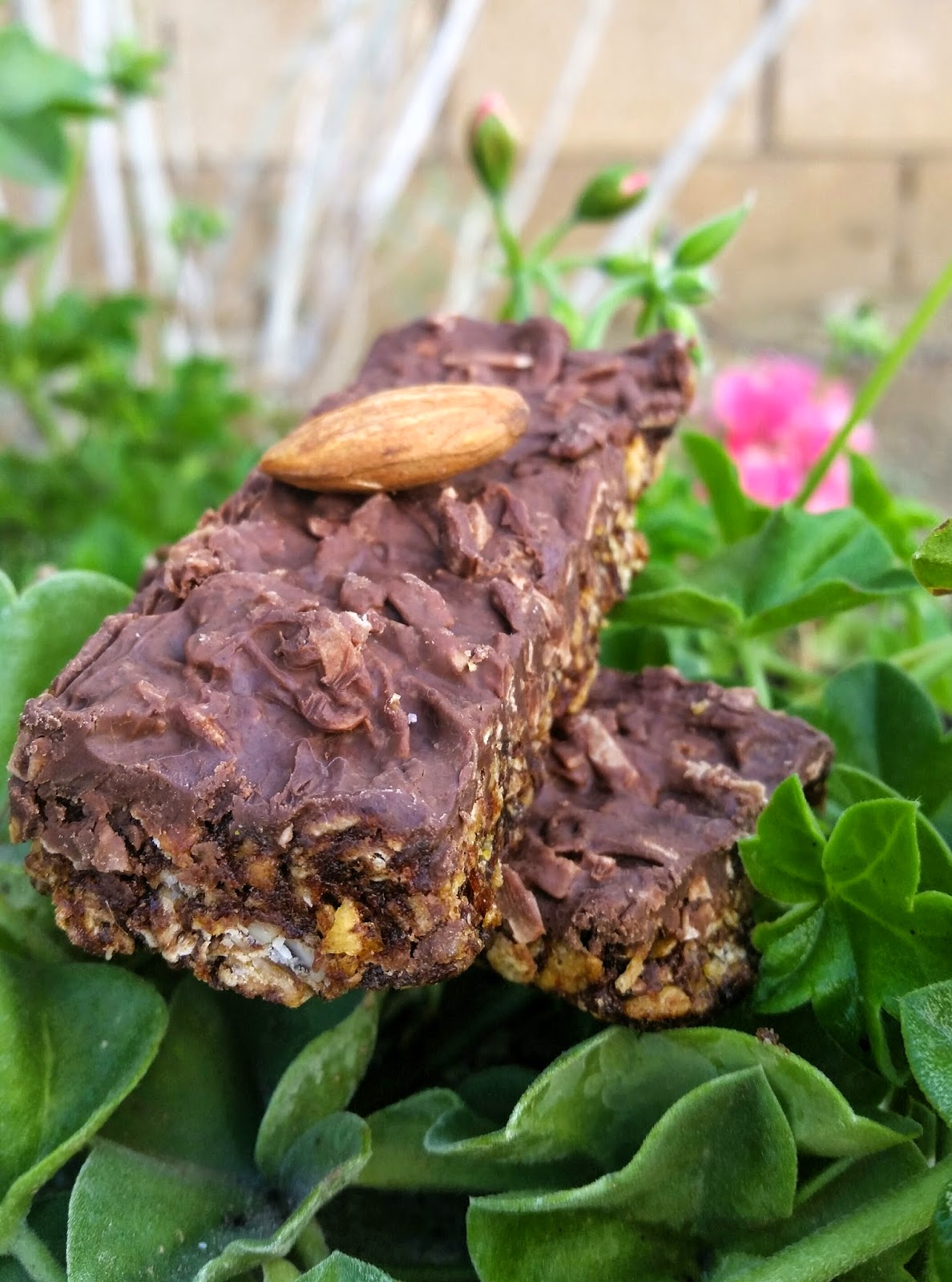 Savvy Chef: Chocolate Date Bars