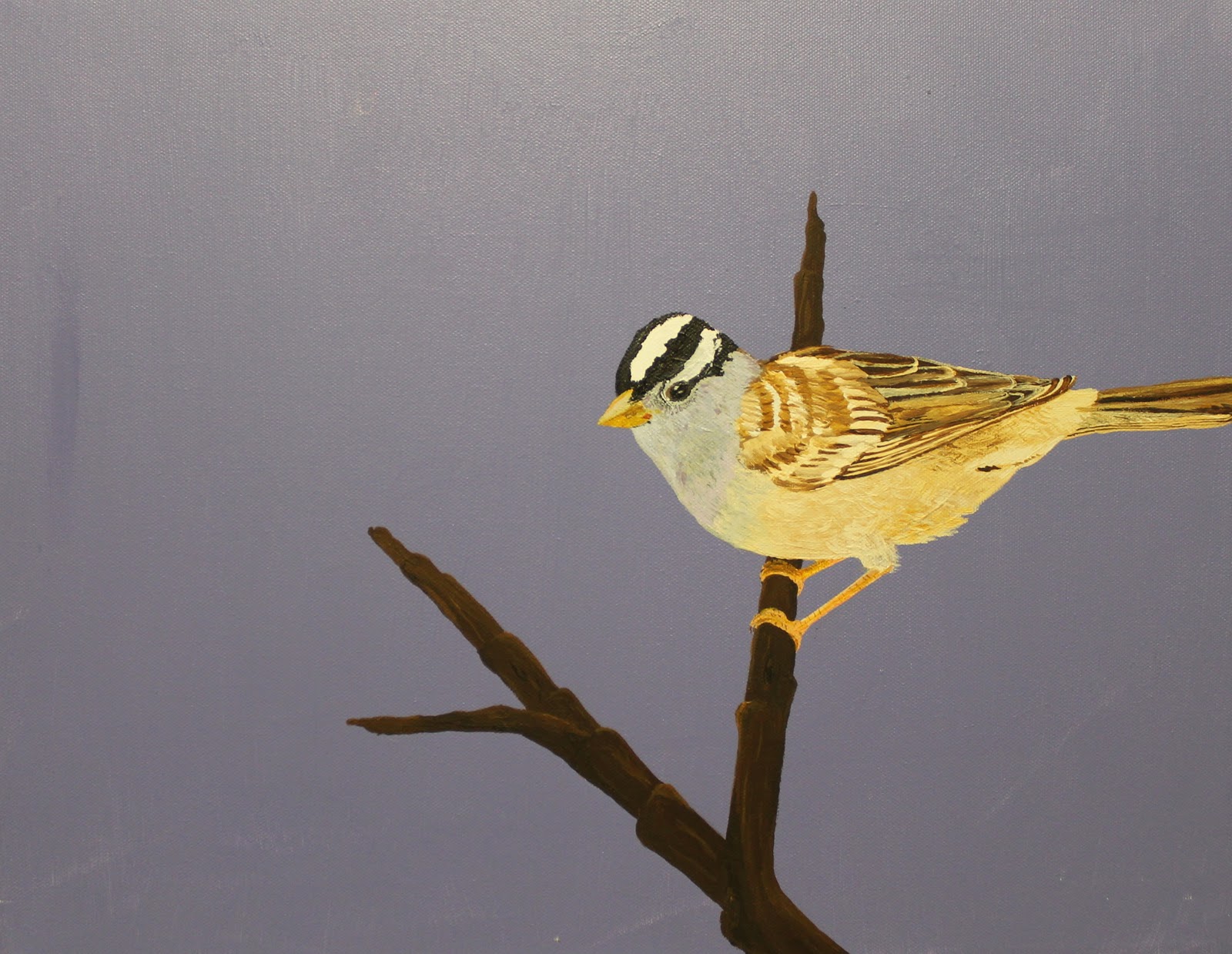 arcane details: bird paintings