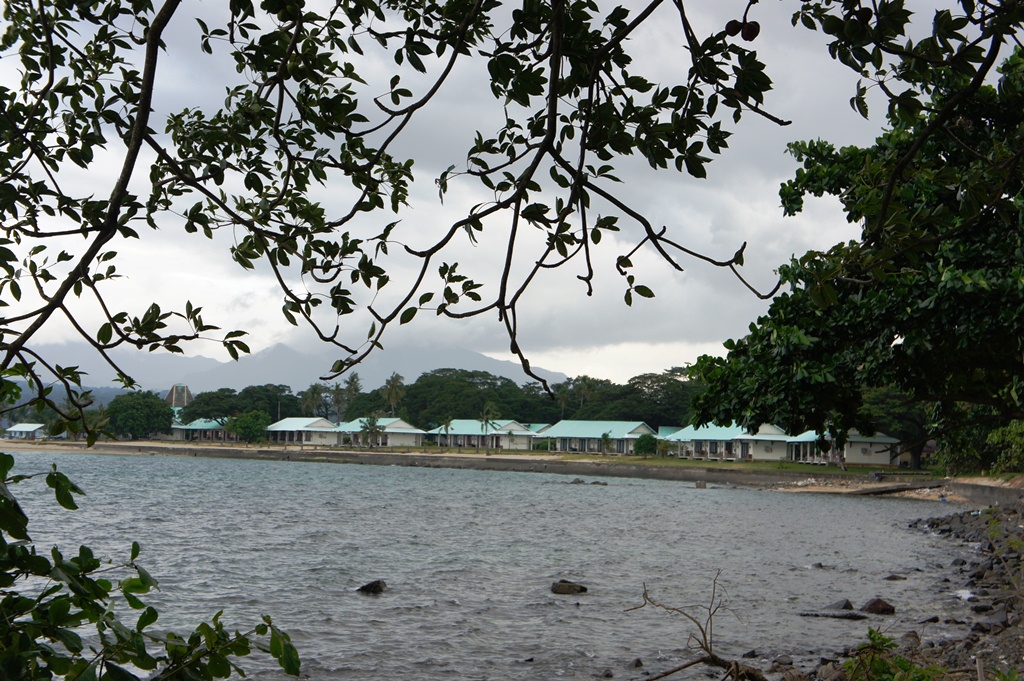 OUR PHILIPPINE TREES: Off the Subic Coast