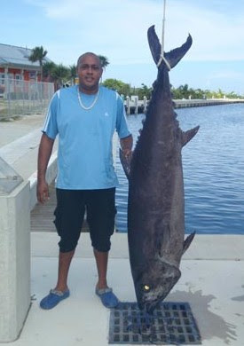 Big Fishes of the World: ESCOLAR (epidocybium flavobrunneum)