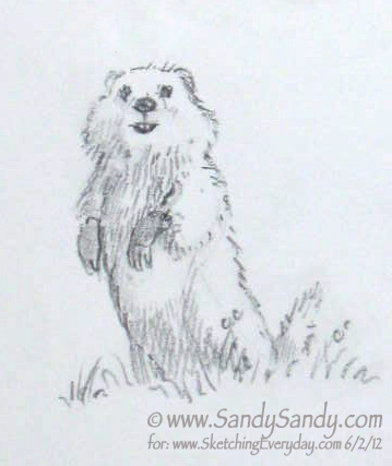 *Sketching Every Day*: How Much Wood Could a Woodchuck Chuck?